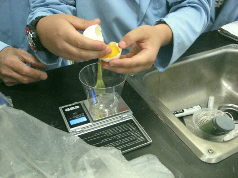 Chemistry and more with egg whites | Las Cruces Academy